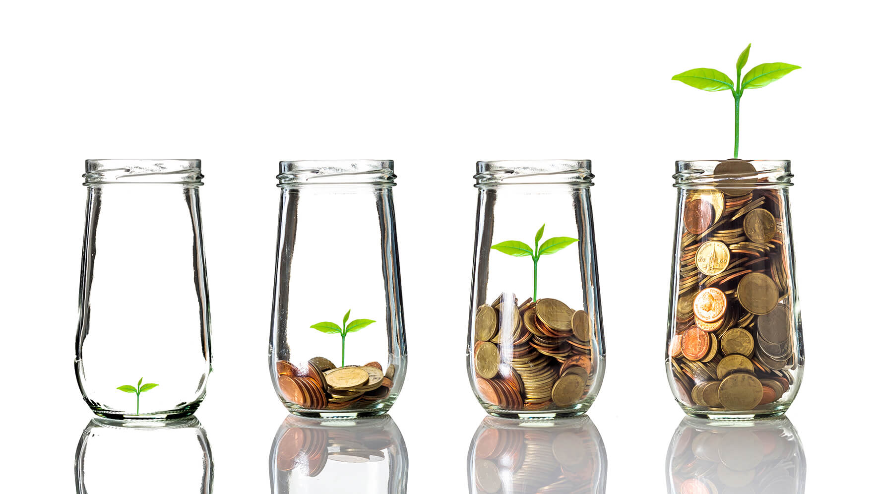 4 Investment Tips to Maximize Your Returns – Standard Investment Bank 4 Investment Tips to Maximize Your Returns – Standard Investment Bank